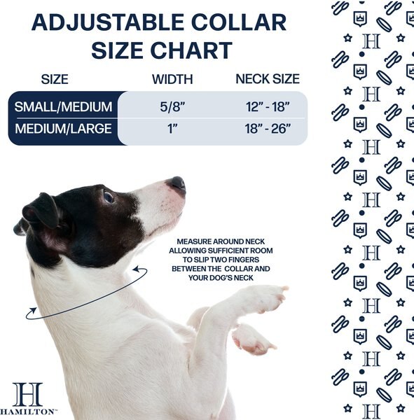 HAMILTON Go Boldly Camouflage Polyester Standard Dog Collar, Blue ...