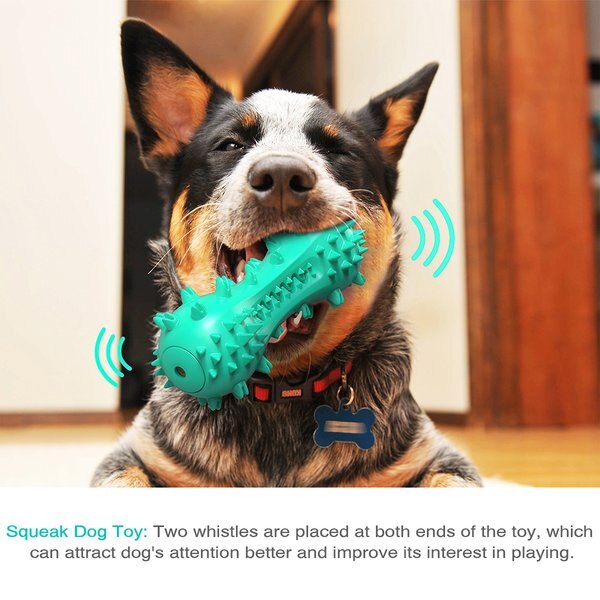 HANAMYA Bone-Shaped Toothbrush Dog Chew Toy, Turquoise Blue - Chewy.com