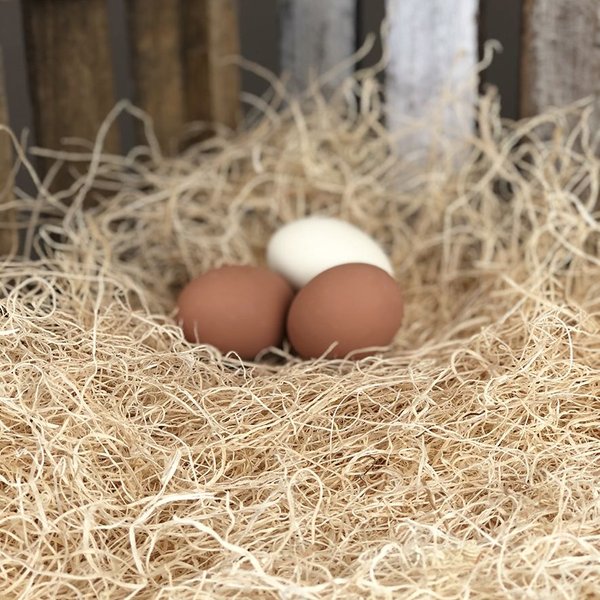 HAPPY HEN TREATS Excelsior Nest Box Bedding Chicken Nesting Pads, 15 ...