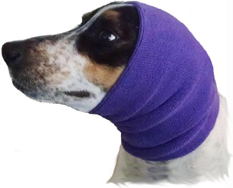 HAPPY HOODIE Calming Cap for Dogs, Purple, Large - Chewy.com
