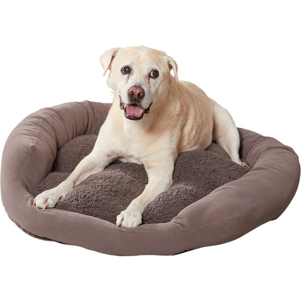 LAIFUG Memory Foam Orthopedic Oval Dog Bed, Chocolate, Medium - Chewy.com