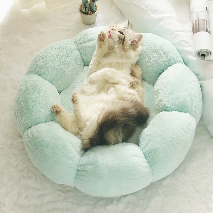 Happy & Polly - Free shipping | Chewy