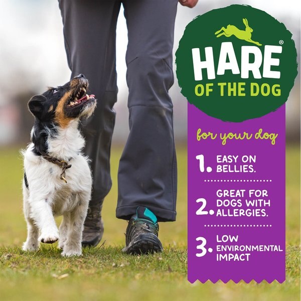 Out of Stock - HARE OF THE DOG Rabbit Tender Bites Dog Jerky Treats, 4. ...