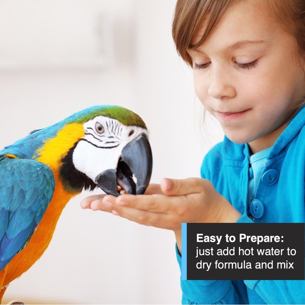 HARI Tropican Hand-Feeding Formula Bird Food, 11-lb bag - Chewy.com