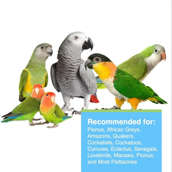 HARI Tropican Hand-Feeding Formula Bird Food, 11-lb bag - Chewy.com