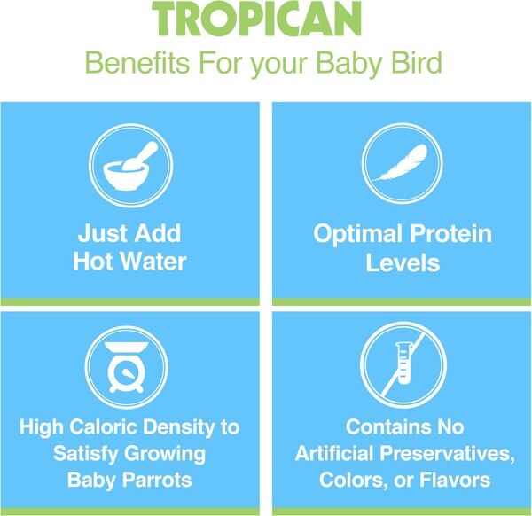 HARI Tropican Hand-Feeding Formula Bird Food, 4.4-lb bag - Chewy.com