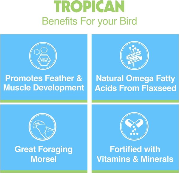 HARI Tropican High Performance Sticks Bird Food, 8-lb bag - Chewy.com