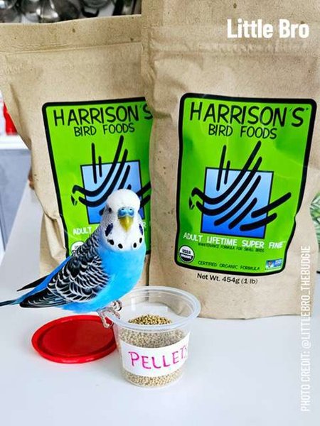 HARRISON'S BIRD FOODS Adult Lifetime Super Fine Organic Pellet Bird ...