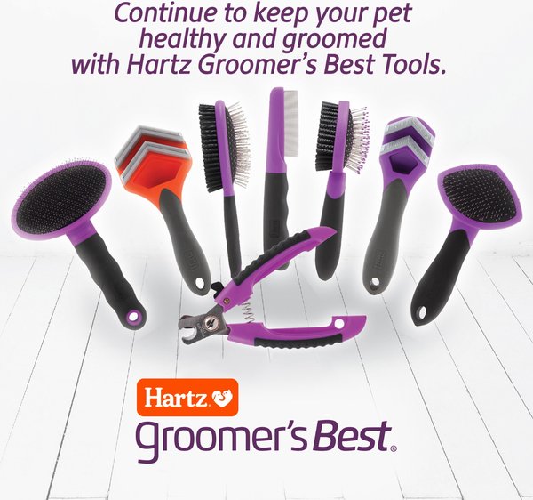 HARTZ Groomer's Best Combo Dog Brush - Chewy.com