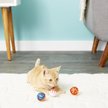 HARTZ Just for Cats Bizzy Balls Cat Toy - Chewy.com