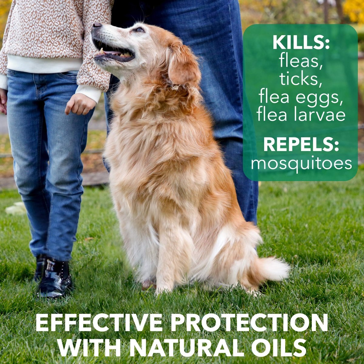 HARTZ Nature's Shield Natural Flea & Tick Home Spray - Chewy.com