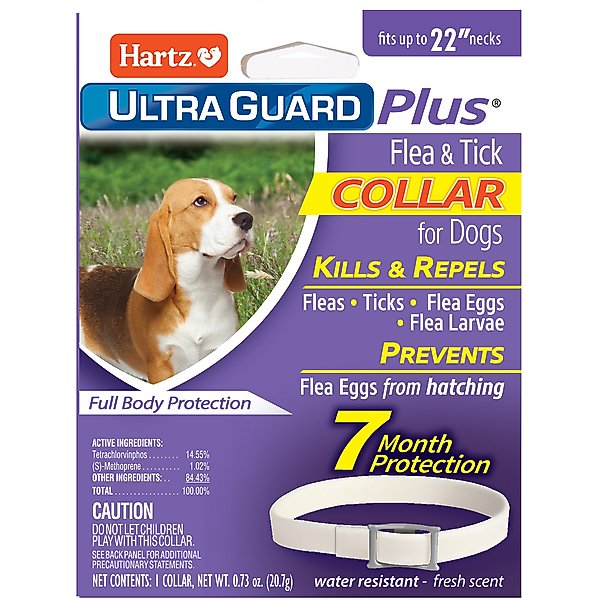 SECUREAWAY Dog Flea Collar Protector, Blue Paws, X-Small: 8 to 12-in ...