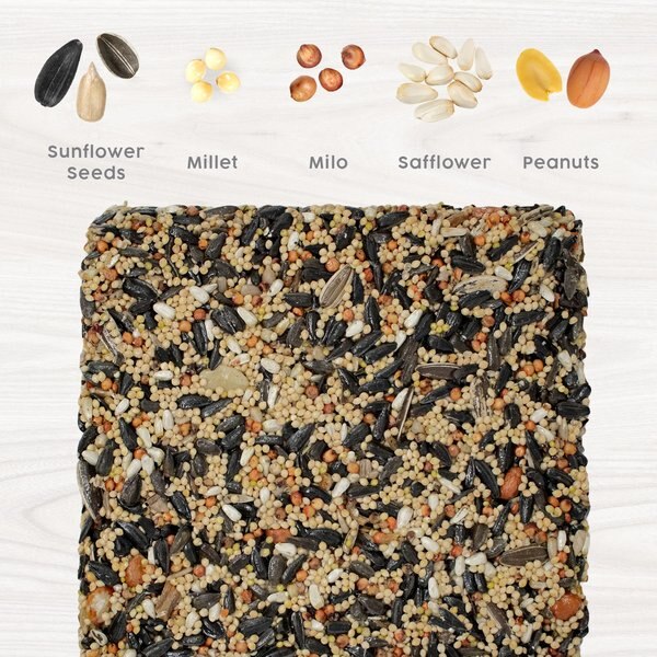 HARVEST SEED & SUPPLY Songbird Seed Cake Corn Free Bird Food, 6 count ...