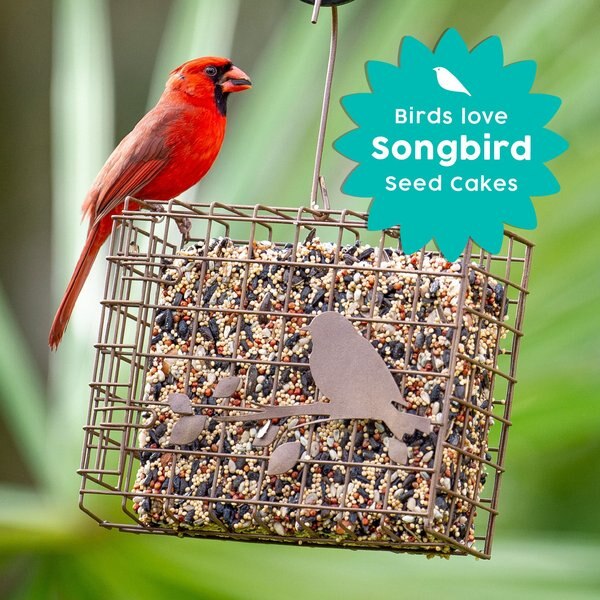 HARVEST SEED & SUPPLY Songbird Seed Cake Corn Free Bird Food, 6 count ...