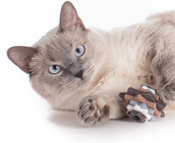 Out of Stock - HAUSPANTHER Stacks Felt Moderate Cat Chasers Toy, 2 ...