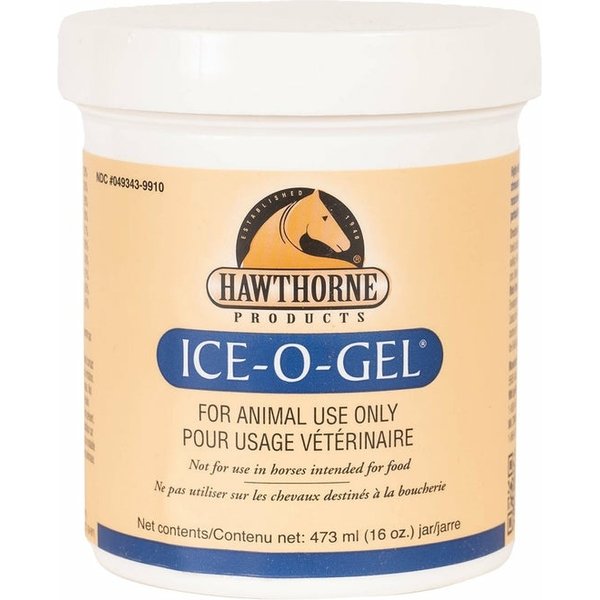 HORSE HEALTH PRODUCTS IceTight 24-Hour Poultice Horse First Aid, 7.5-lb ...