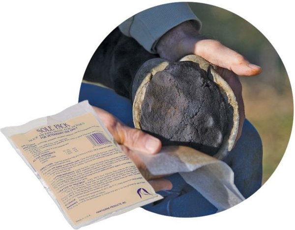 HAWTHORNE PRODUCTS Sole Pack Medicated Horse Hoof Packing, 2-oz, 12 ...