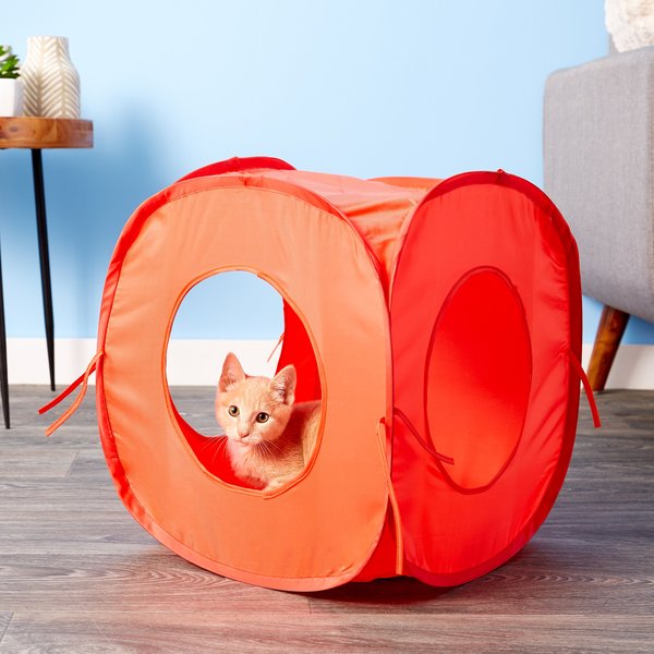 HDP Pop Open Collapsible Cat Play Cube, Red - Chewy.com