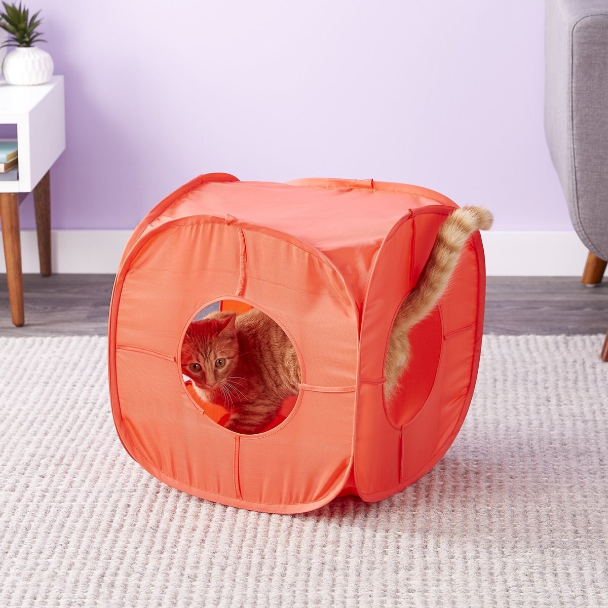 HDP Pop Open Collapsible Cat Play Cube, Red - Chewy.com