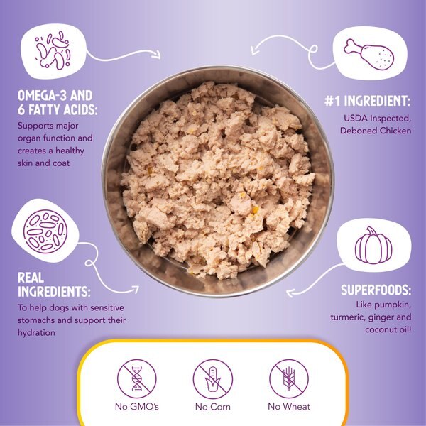 HEALTH EXTENSION Digestive Support Chicken & Pumpkin Entrée in Gravy ...