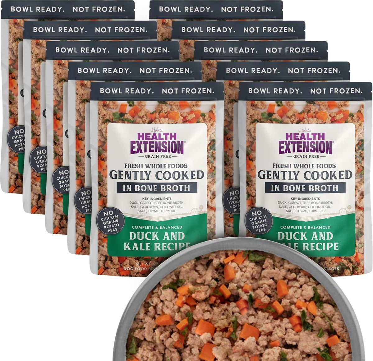 HEALTH EXTENSION Gently Cooked Duck & Kale Recipe Wet Dog Food, 9-oz ...
