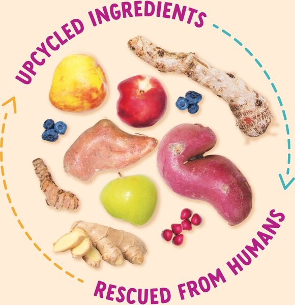 Discontinued - HEALTH EXTENSION Impawfect Digestive Support Pumpkin ...