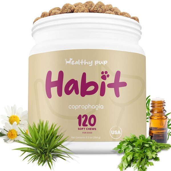 HEALTHY PUP Stool Eating Deterrent Soft Chew Supplement for Dogs, 120 ...