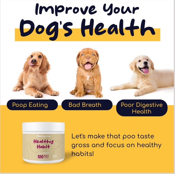 HEALTHY PUP Stool Eating Deterrent Soft Chew Supplement for Dogs, 120 ...