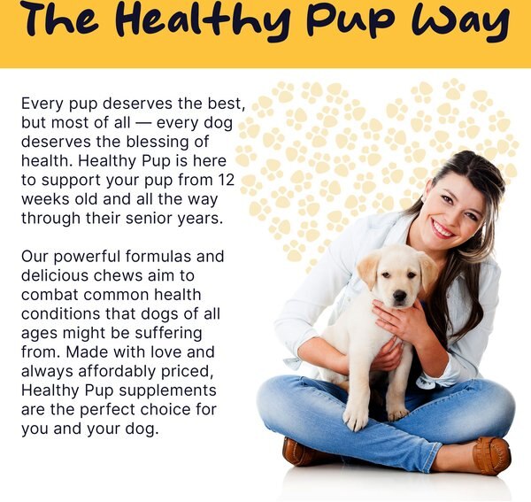 HEALTHY PUP Stool Eating Deterrent Soft Chew Supplement for Dogs, 240 ...