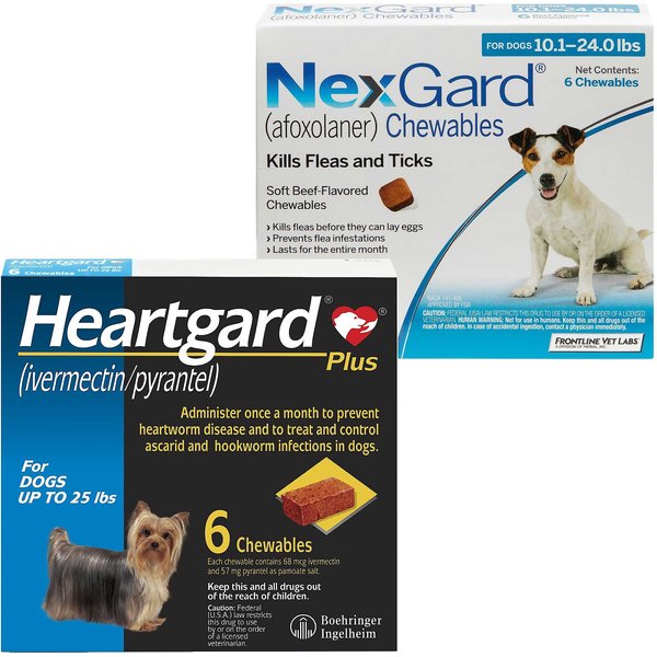 NEXGARD Chewables for Dogs, 10.1-24 lbs, (Blue Box) - Easy Refills ...