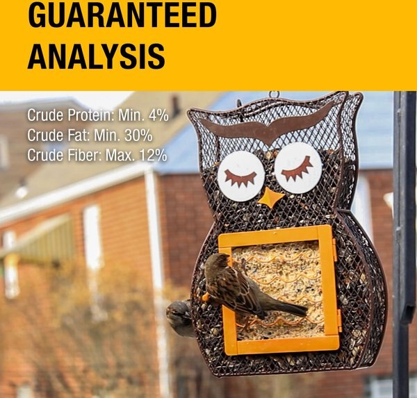 HEATH Suet 'N Seed Whimsical Owl Suet Cake Bird Feeder - Chewy.com