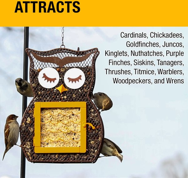 HEATH Suet 'N Seed Whimsical Owl Suet Cake Bird Feeder - Chewy.com