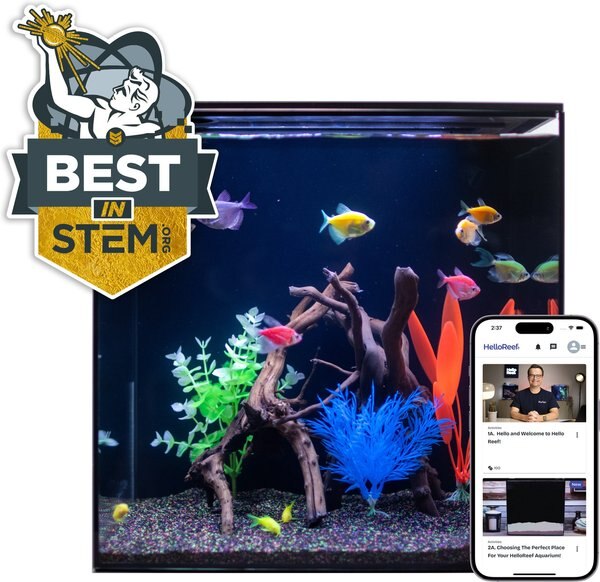 HELLOREEF Glofish Aquarium Kit, 15-gal - Chewy.com
