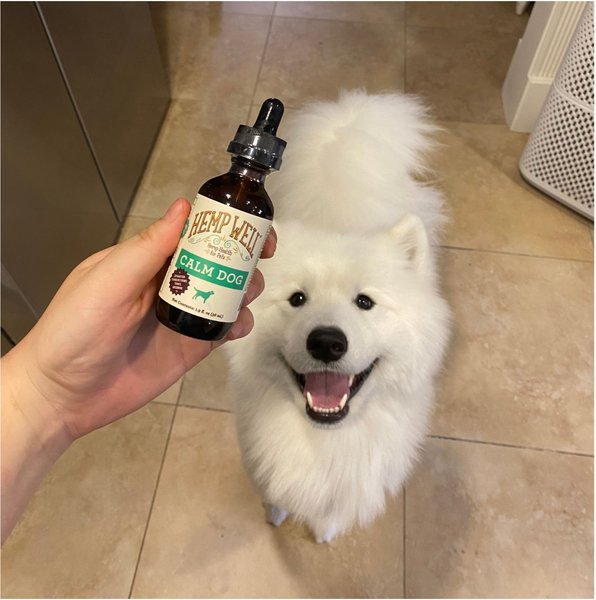 HEMP WELL Calm Dog Oil Anxiety Relief Liquid Dog Supplement, 2-fl oz ...