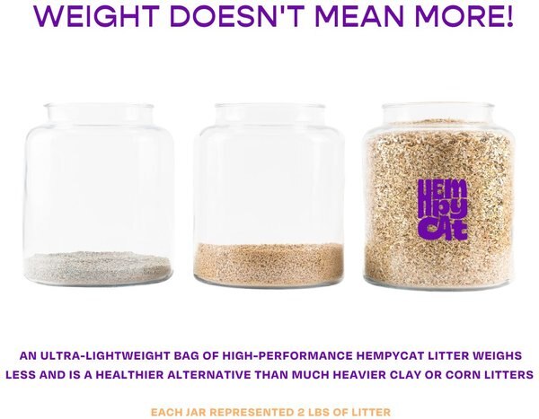 HEMPALTA Unscented Non-Clumping Hemp Cat Litter, 2.2-lb bag - Chewy.com