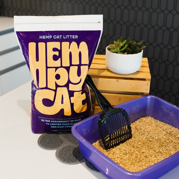 HEMPALTA Unscented Non-Clumping Hemp Cat Litter, 2.2-lb bag - Chewy.com