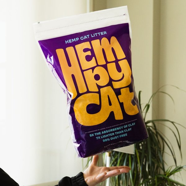 HEMPALTA Unscented Non-Clumping Hemp Cat Litter, 2.2-lb bag - Chewy.com