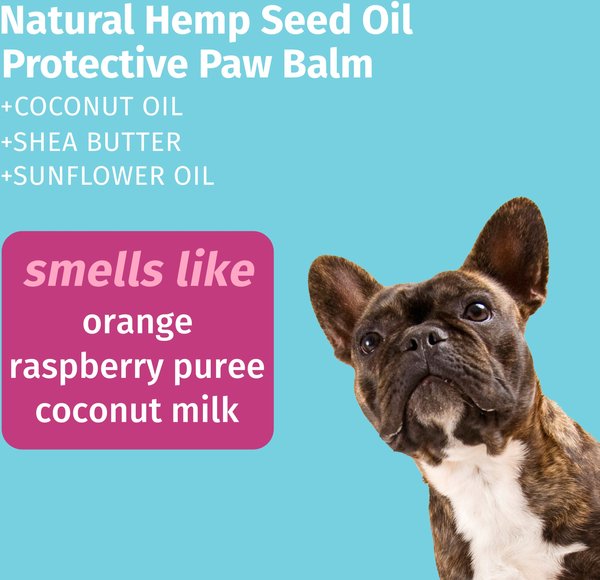 HEMPZ PETZ Creamy Citrus Orange Red Raspberry Dog Paw Balm, 2-oz jar ...