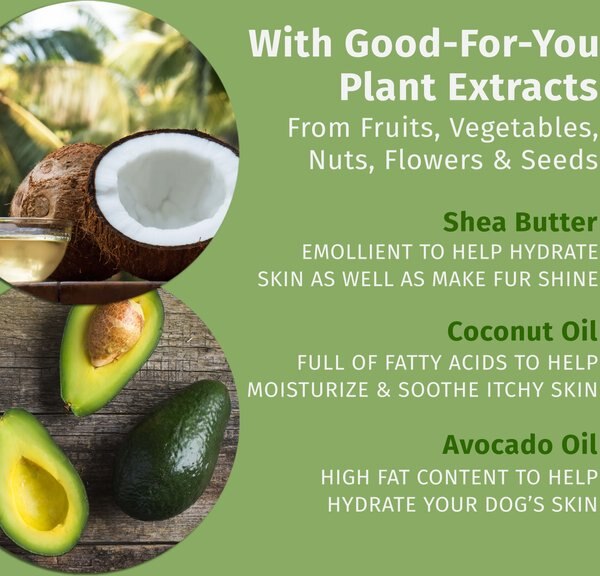 HEMPZ PETZ Deodorizing Dog Shampoo, Sweet Pineapple Honey Melon Scent ...