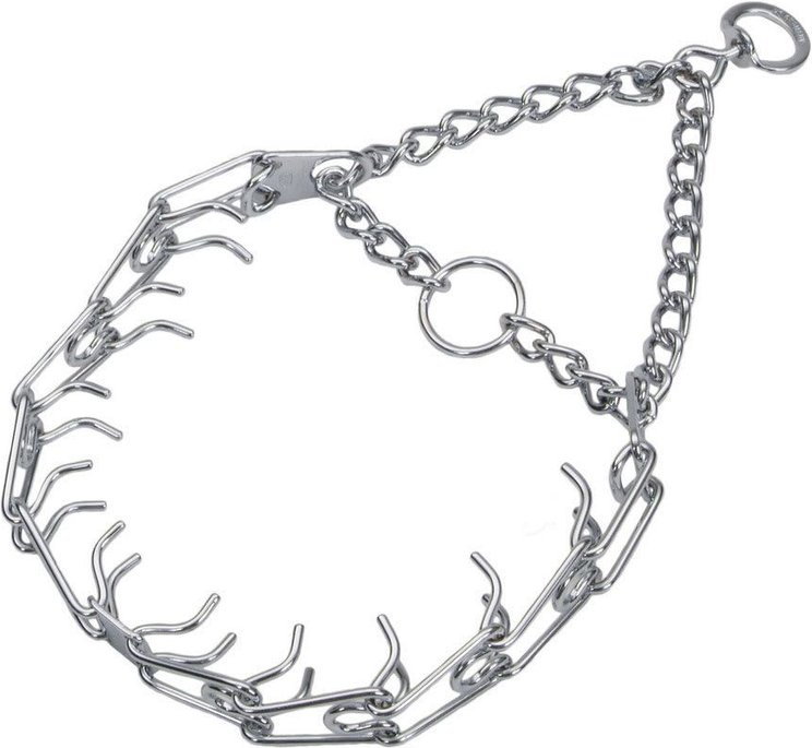 Dog Chain (Free Shipping) | Chewy