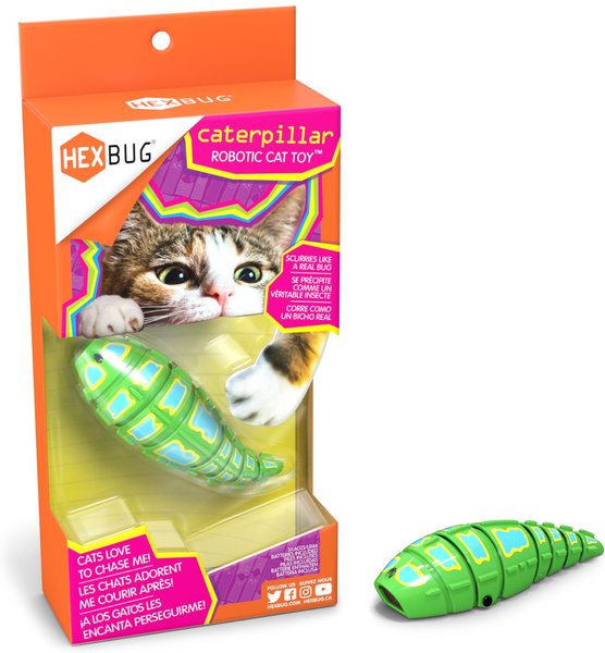 HEXBUG Caterpillar Cat Toy - Chewy.com