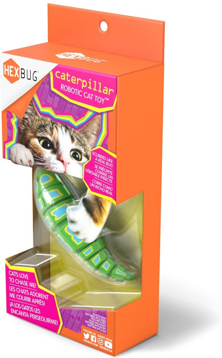 HEXBUG Caterpillar Cat Toy - Chewy.com