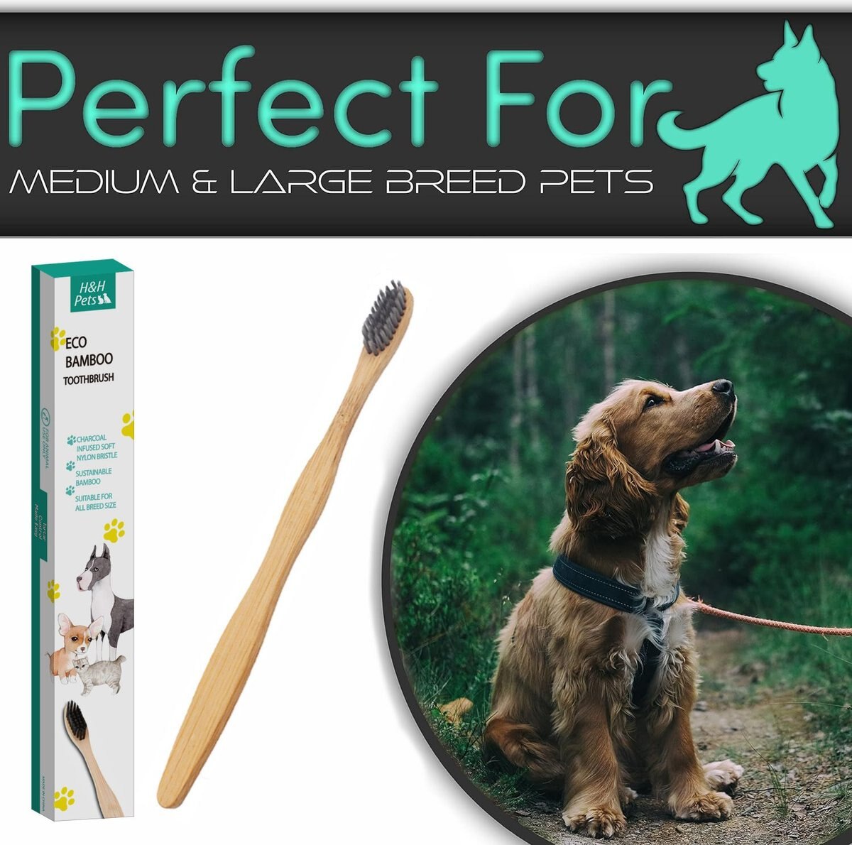 H&H PETS Eco-Friendly Reusable Bamboo Dog & Cat Toothbrush, 8 count ...