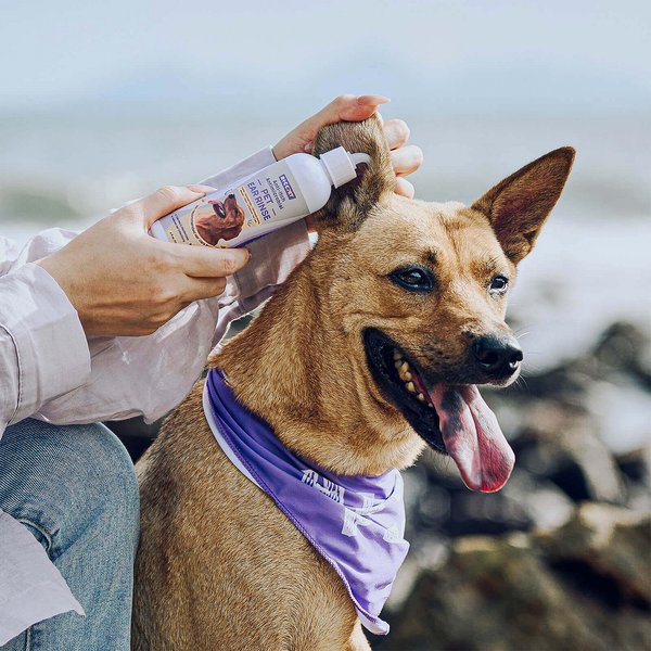 HICC PET Antibacterial Cat & Dog Ear Rinse with Cotton Swabs, 4-fl oz ...