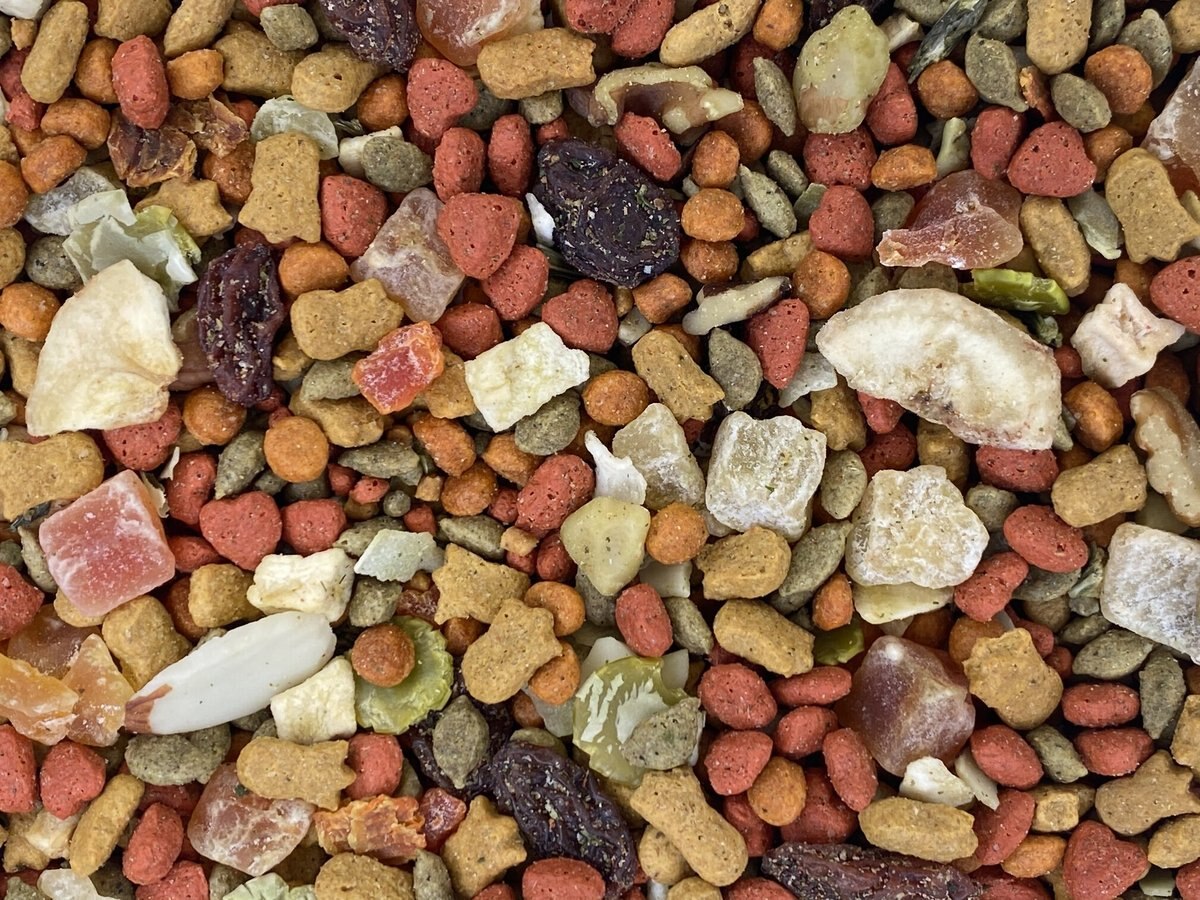 HIGGINS inTune Harmony Conure & Cockatiel Bird Food, 2-lb bag - Chewy.com