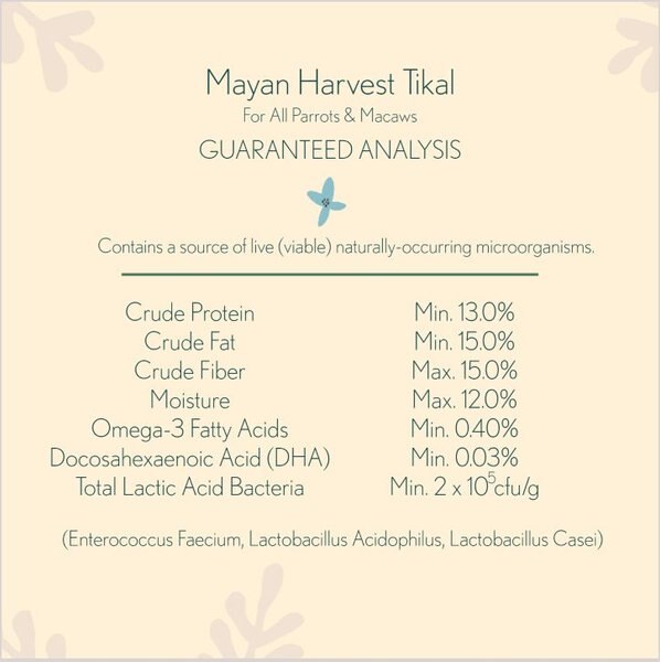 HIGGINS Mayan Harvest Tikal Parrot Food, 3-lb bag - Chewy.com