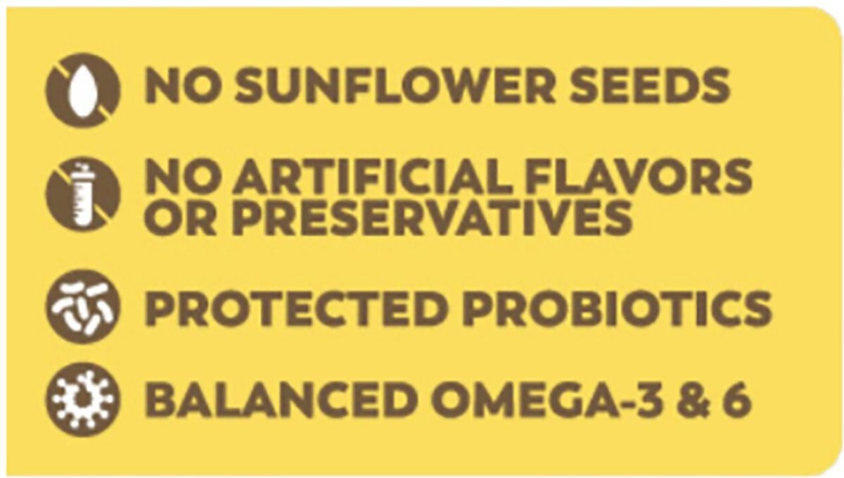 HIGGINS Safflower Gold Natural Mix Conure & Cockatiel Food - Chewy.com