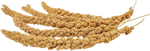 HIGGINS Spray Millet Bird Treats, 12 count - Chewy.com