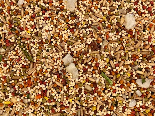 HIGGINS Sunburst Gourmet Blend Birdseed & Grains Parakeet & Budgie Bird ...