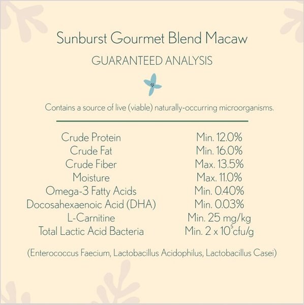 HIGGINS Sunburst Gourmet Blend Birdseed & Nuts Macaw Bird Food, 3-lb ...